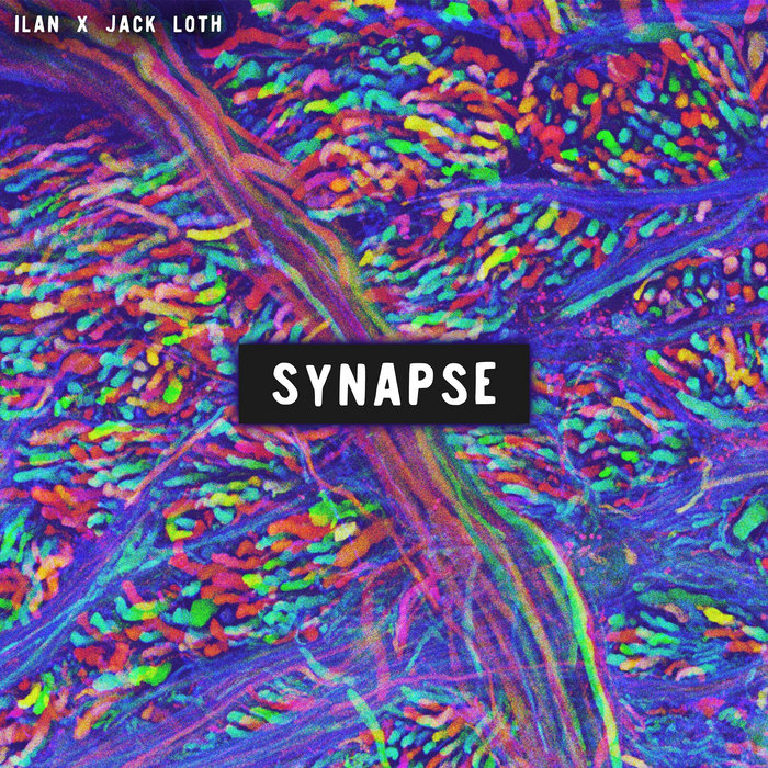 Synapse | Jack Loth / Ilan | Jack Loth