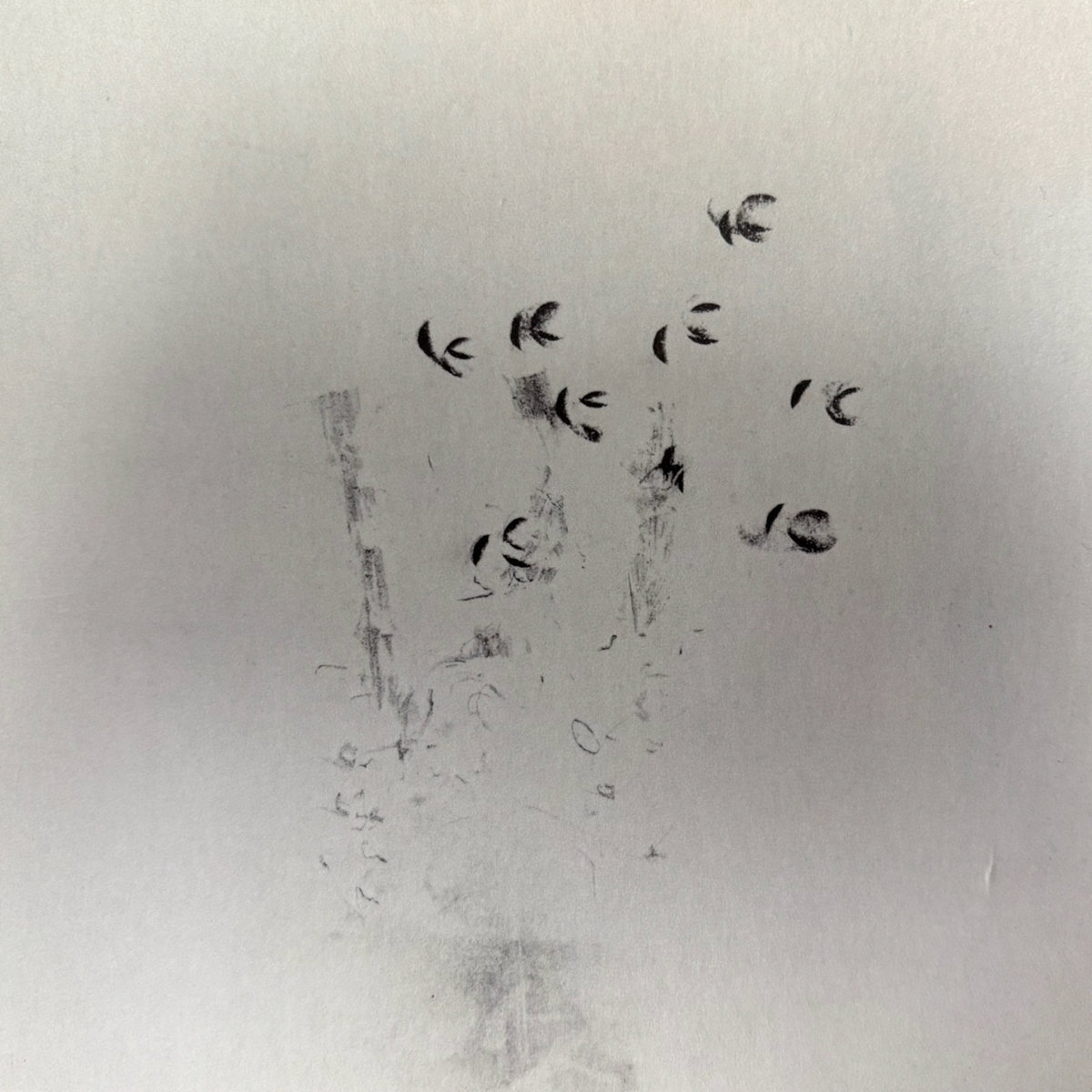Skin Tones | David Toop + Ken Ikeda | David Toop