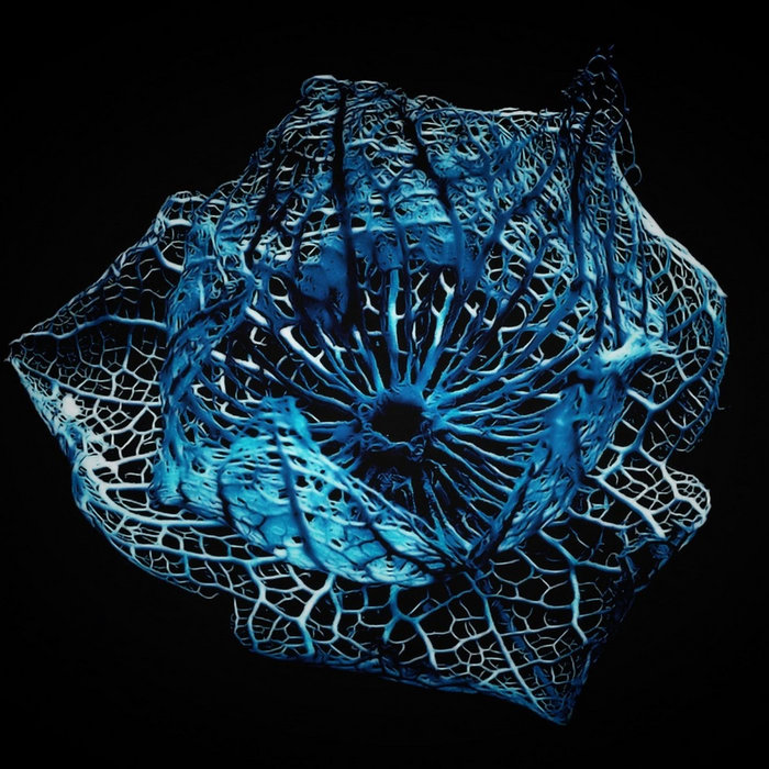 Joken - La Fenice | Diffuse Reality Records