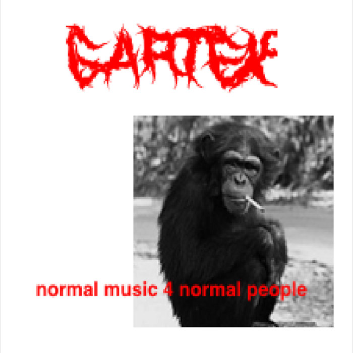 normal music 4 normal people | Gartex