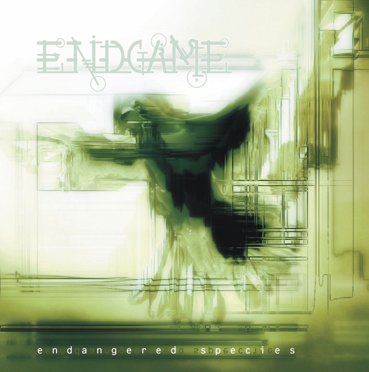 Endangered Species | Endgame | Auricle Music