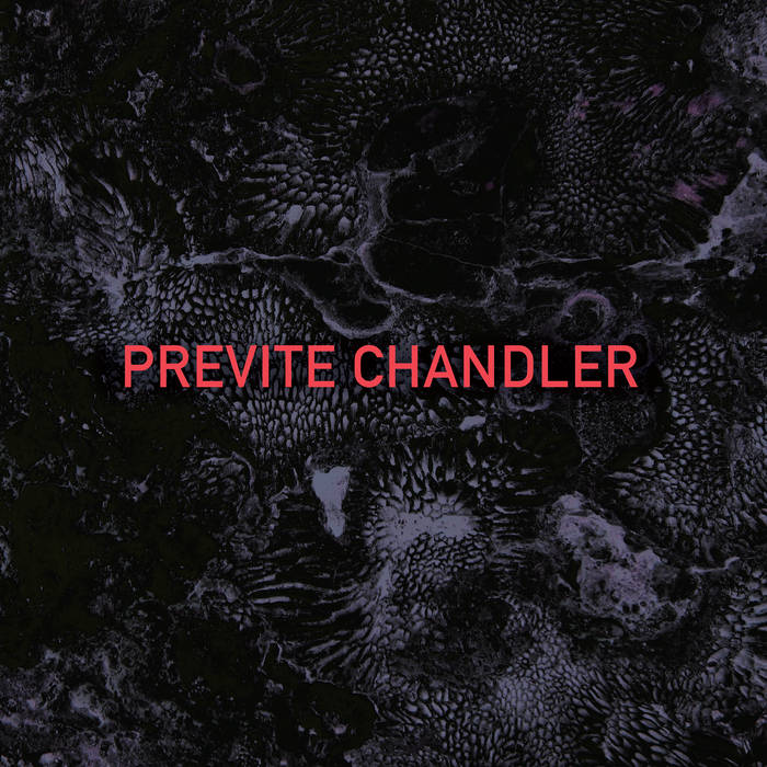 Previte Chandler | Knox Chandler and Bobby Previte | Bobby Previte