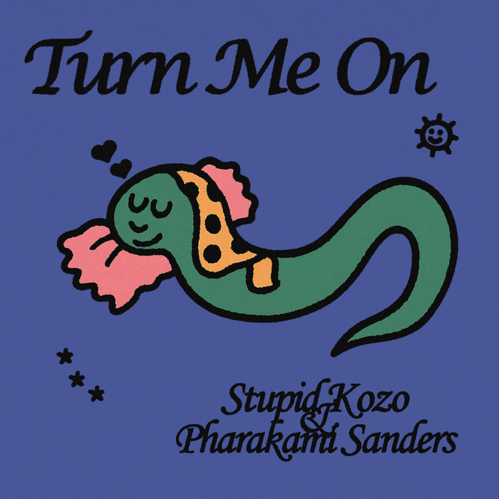Turn Me On | Stupid Kozo & Pharakami Sanders | KOOL SWITCH WORKS