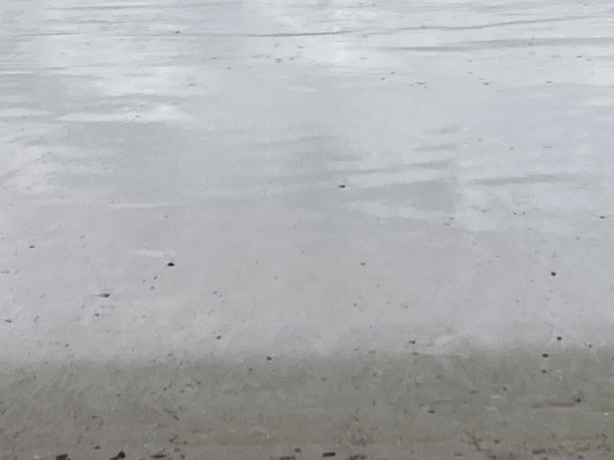 Fragment3 | Roger Haddad