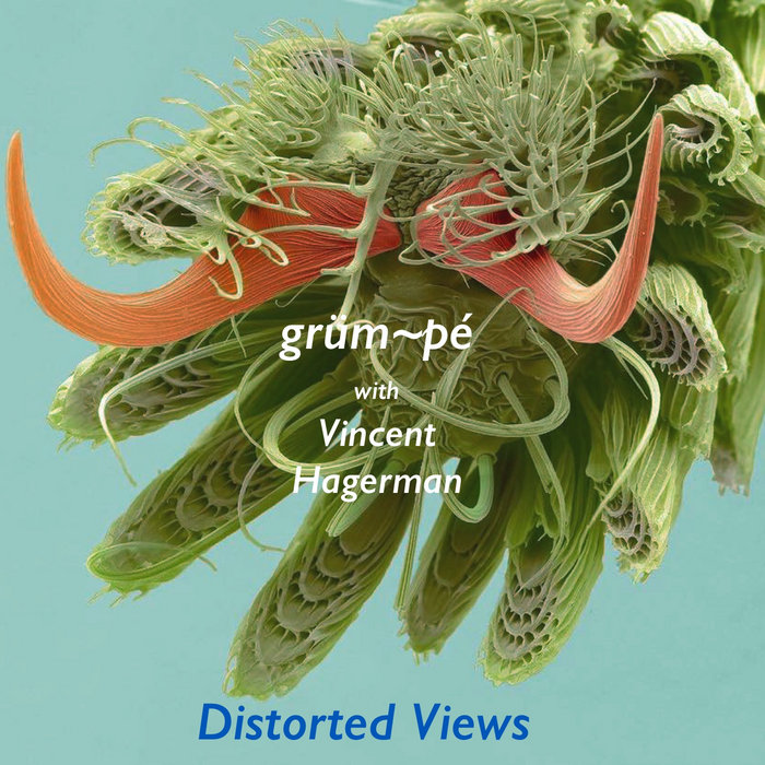 Distorted Views | grum~pe