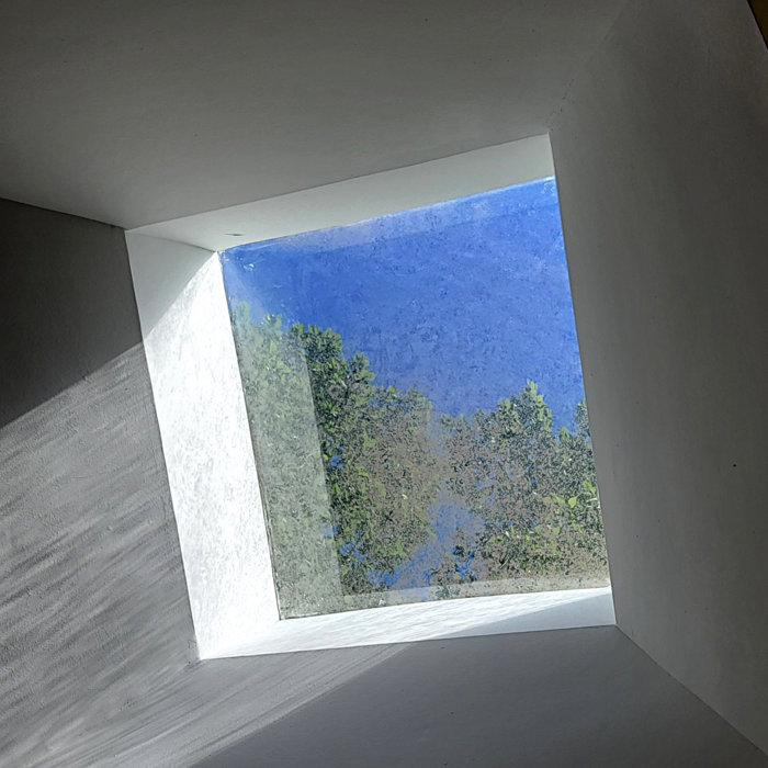 come evening, she hunts moths | David Beardsley