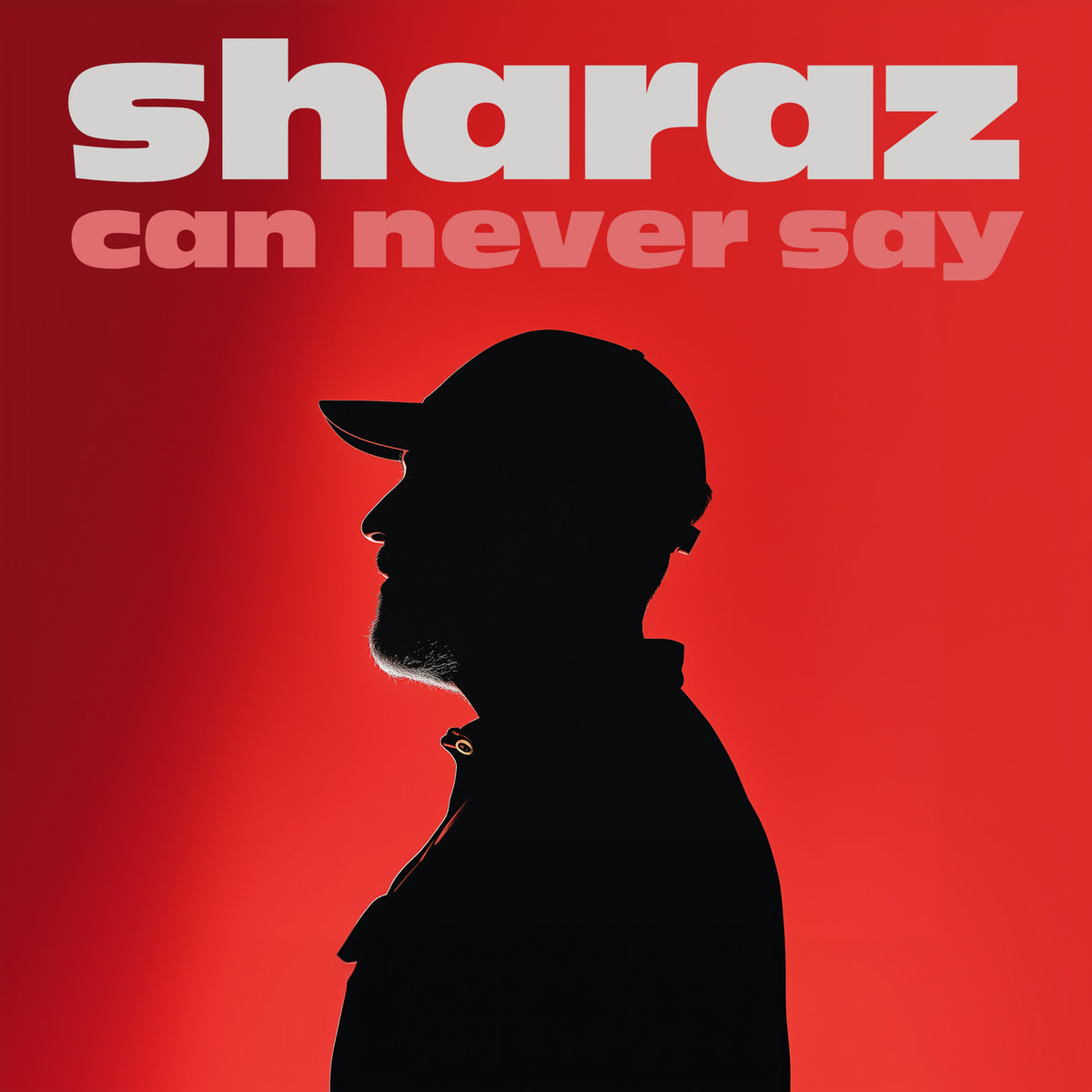 Can Never Say (2024) | DJ Sharaz