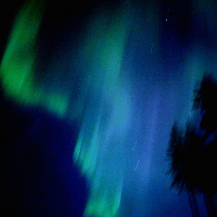 Wish (True Version) | Face of Death