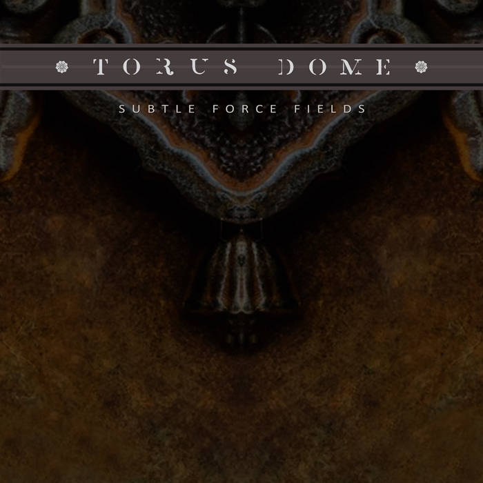 Subtle Force Fields | Torus Dome | thorusdome