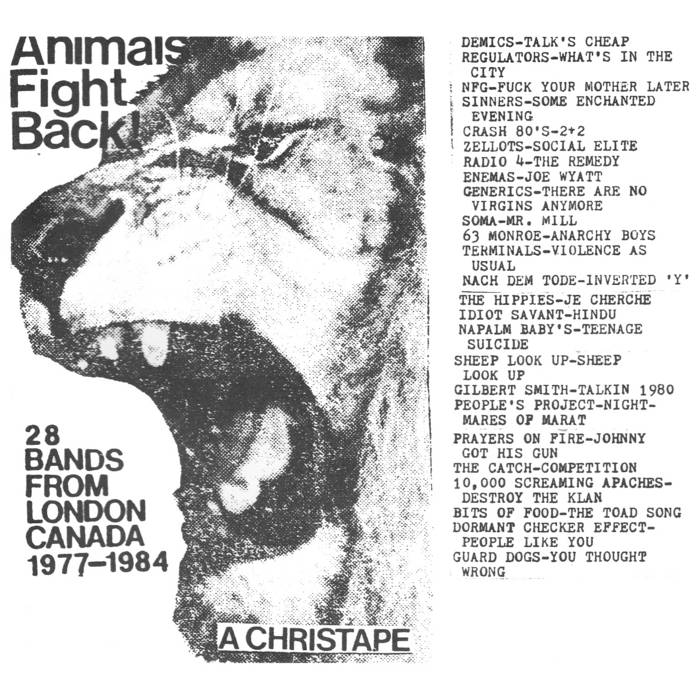 Animals Fight Back