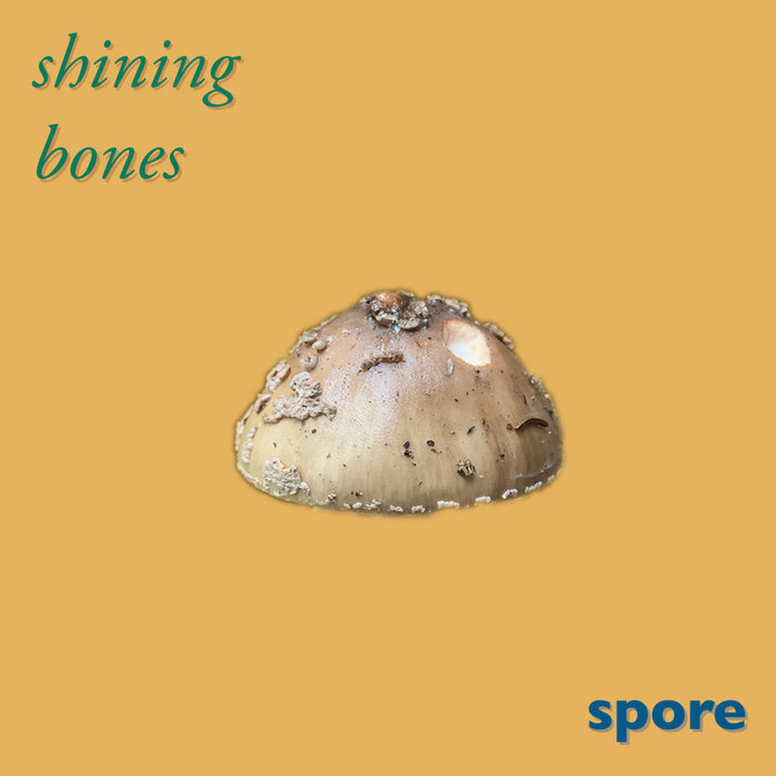 Spore | Shining Bones