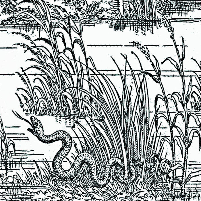 Landscape With Serpent (1987) | Minóy