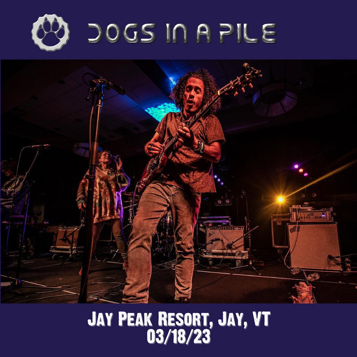03/18/23 - Jay Peak Resort, Jay VT | Dogs In A Pile