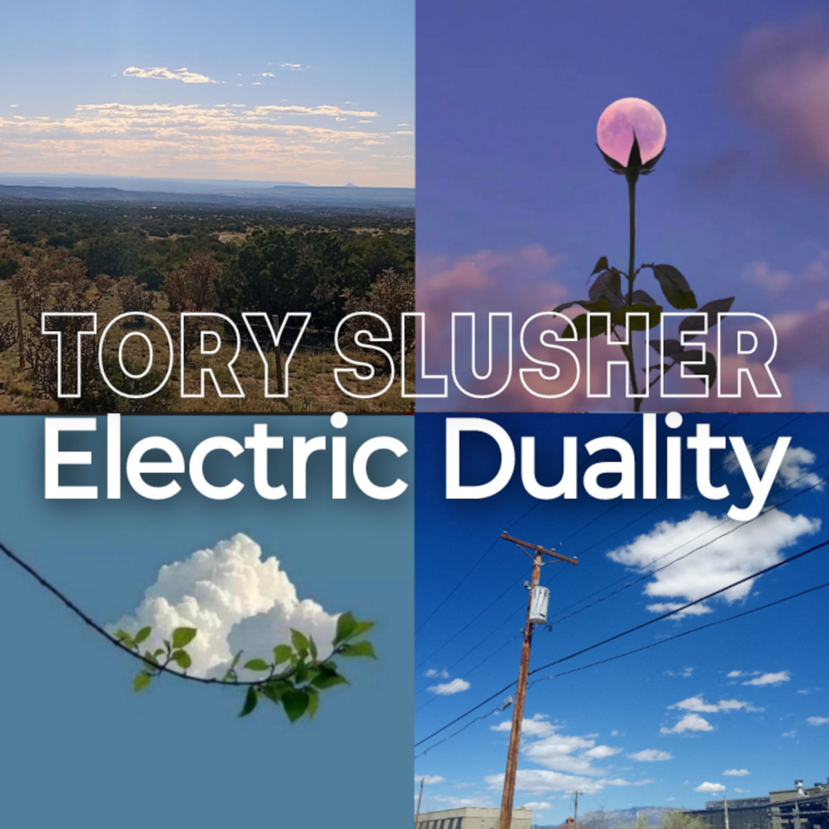 Electric Duality | Tory Slusher
