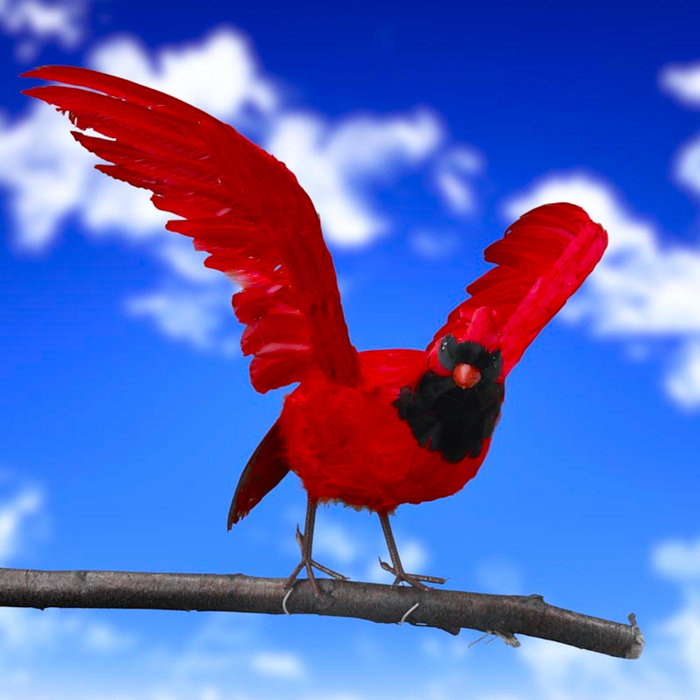 Large Cardinal | hi LD!