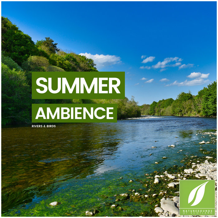 Summer Ambience Relaxing Nature Sounds For Studying | Nature sounds Of ...