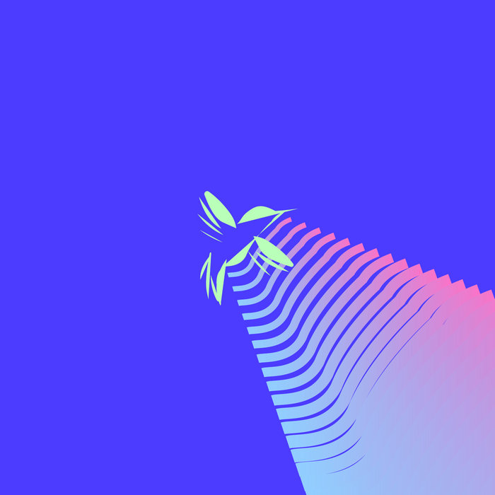 Sho Shin (初心) | melobird