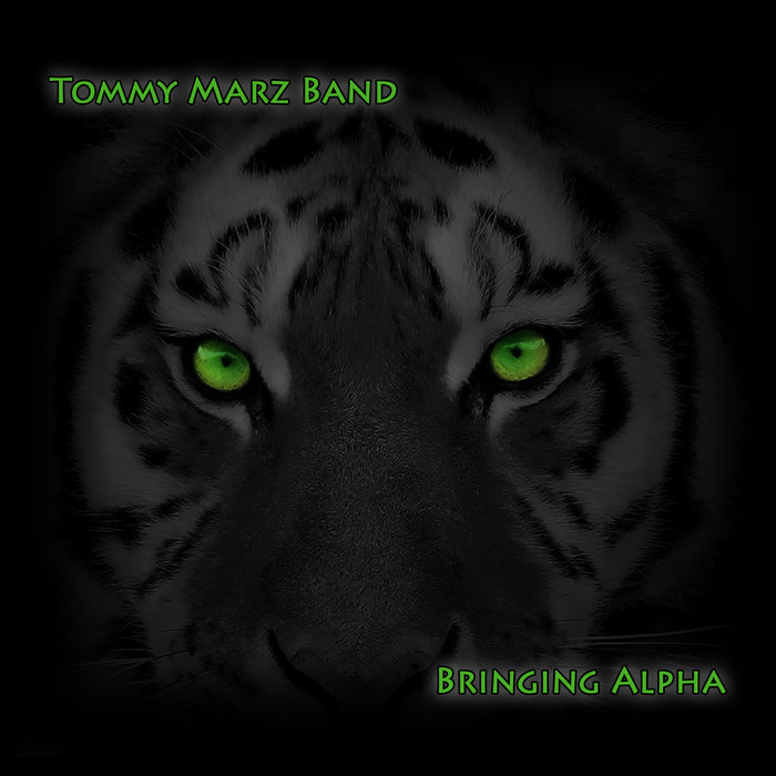 Bringing Alpha | Tommy Marz Band
