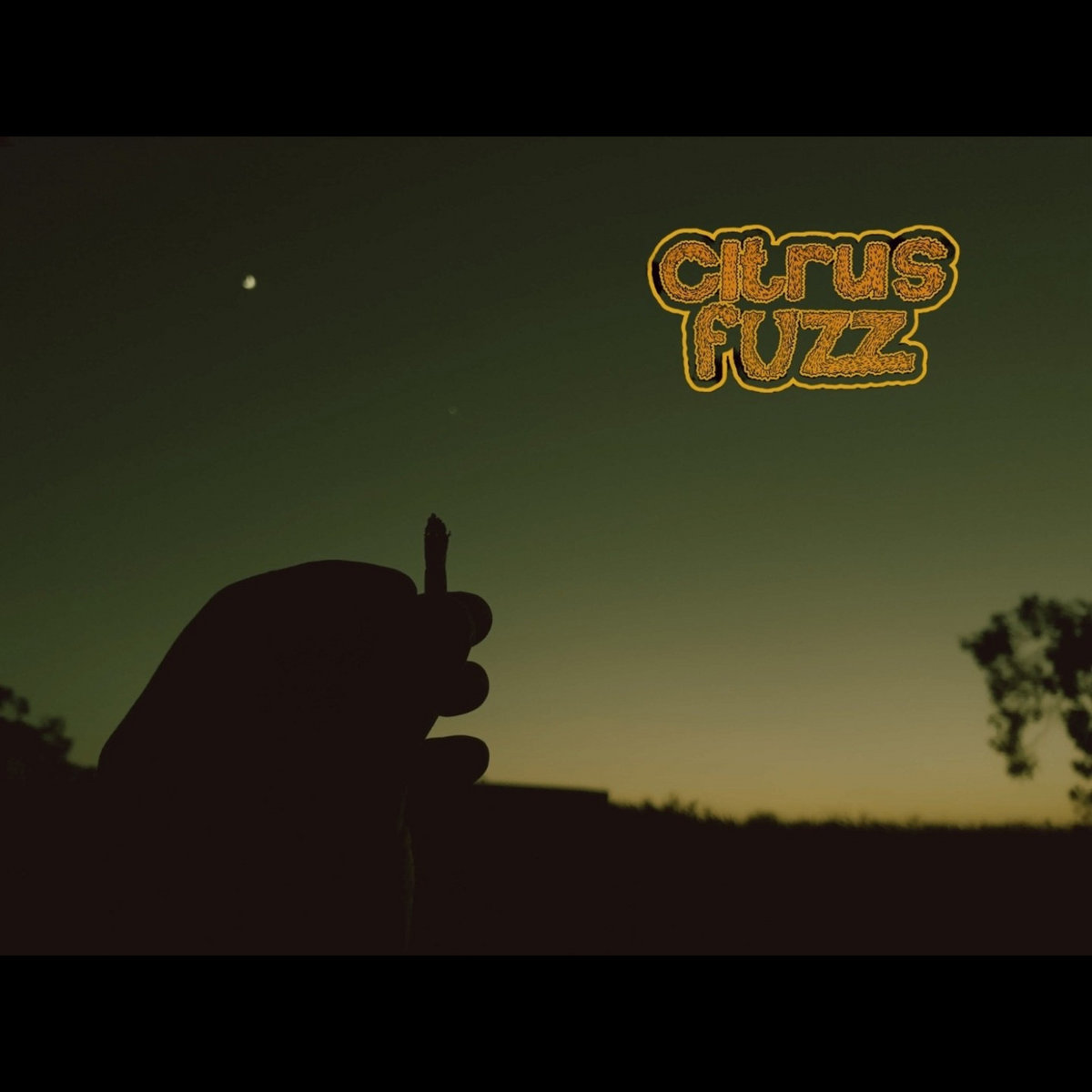Demo | Citrus Fuzz | Gutted Records