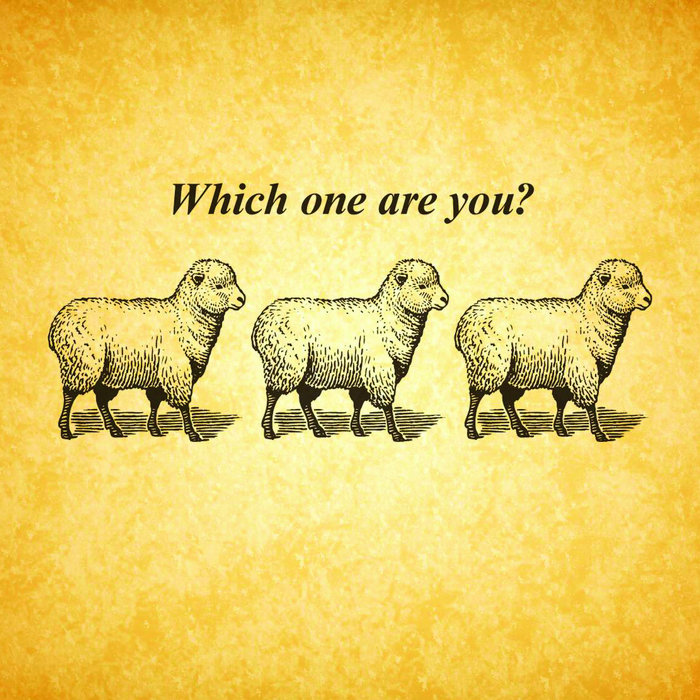 The Fear Within Sheep | Null Object