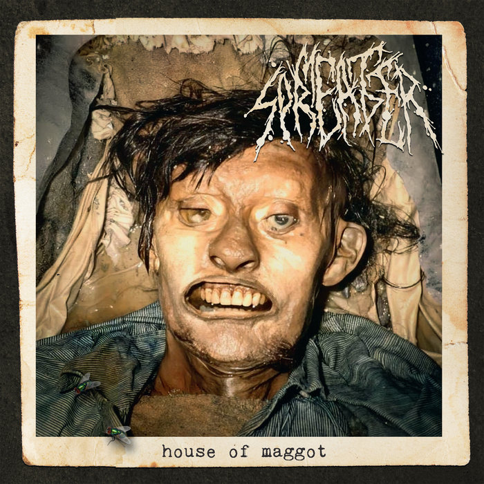 House Of Maggot / The Extent of the Putrescent Crawling Swarm’s ...