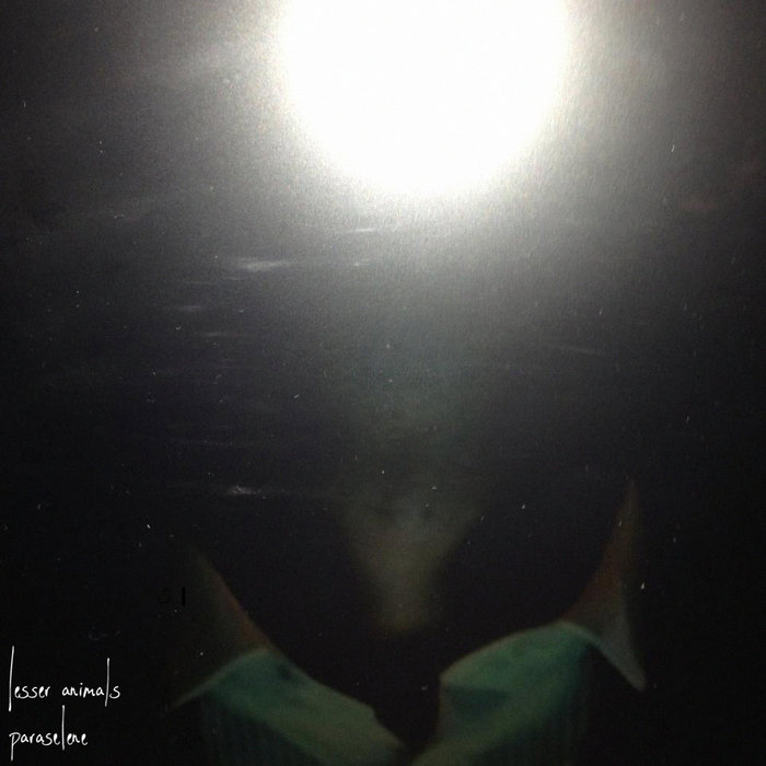 Paraselene | lesser animals