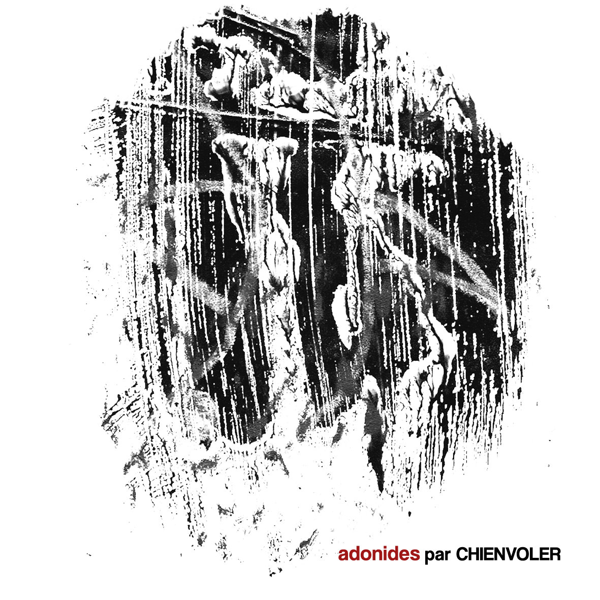 adonides | CHIENVOLER