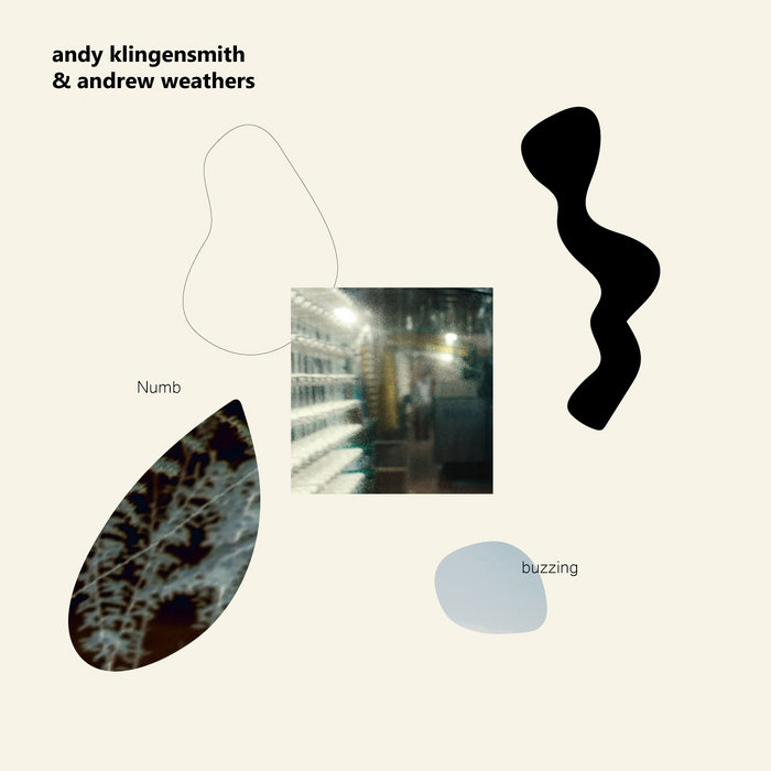 Numb Buzzing | Andy Klingensmith and Andrew Weathers | Andrew Weathers