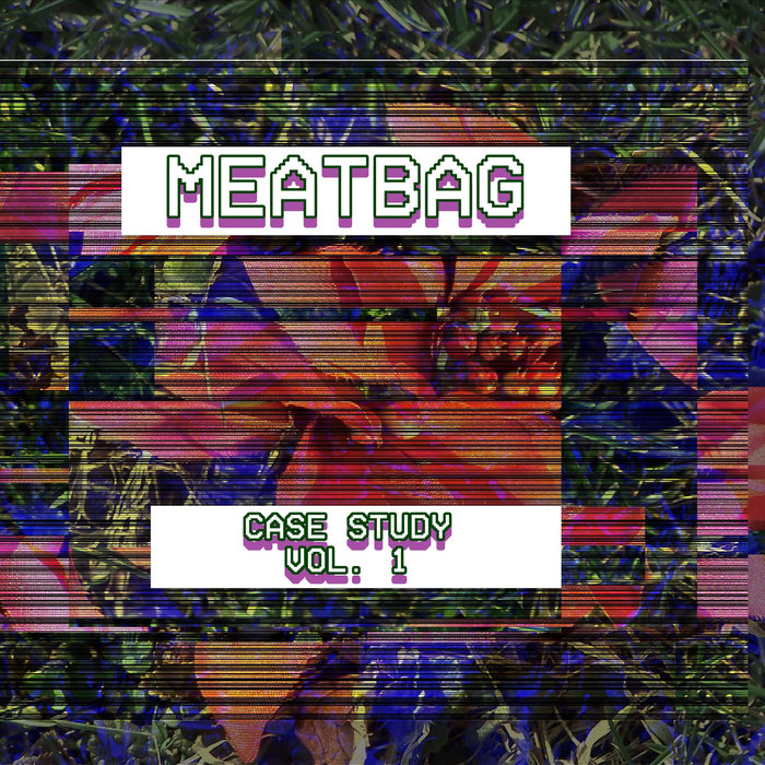 Case Study, Vol. 1 | MEATBAG
