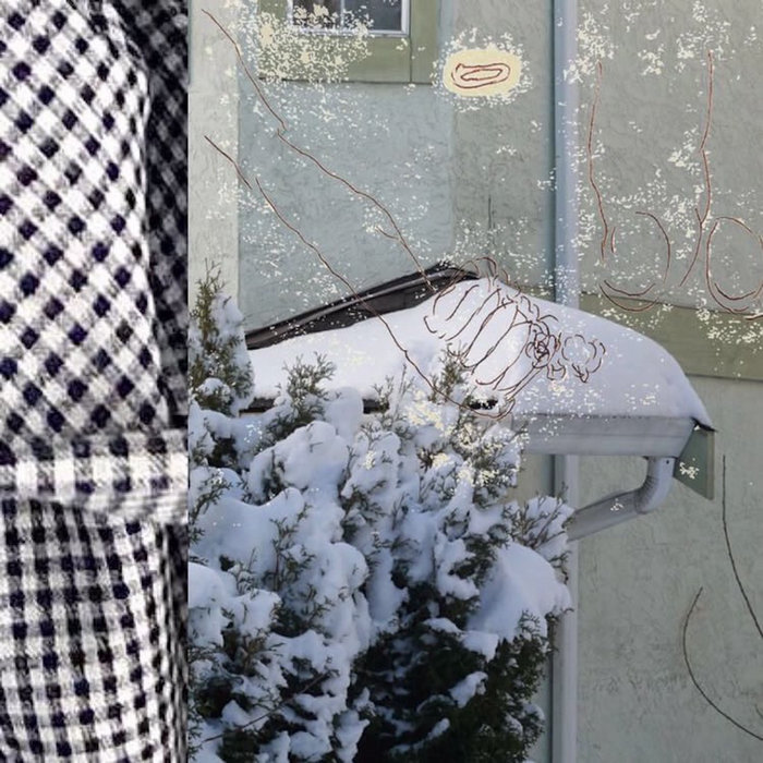 What's Up // A Wild Sheep Chase | Bread Boy