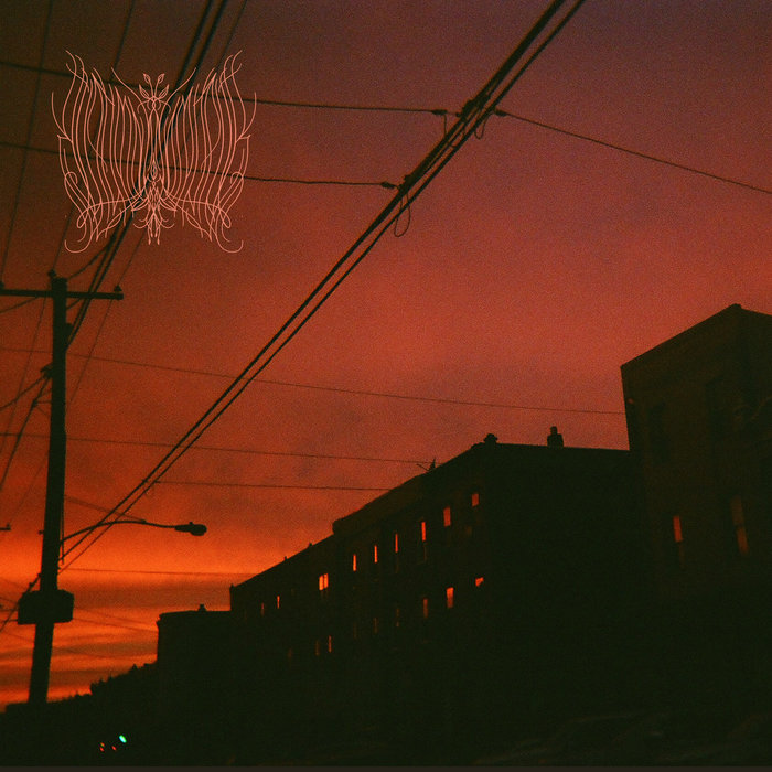 Summer Vacation | Autumn In Despair