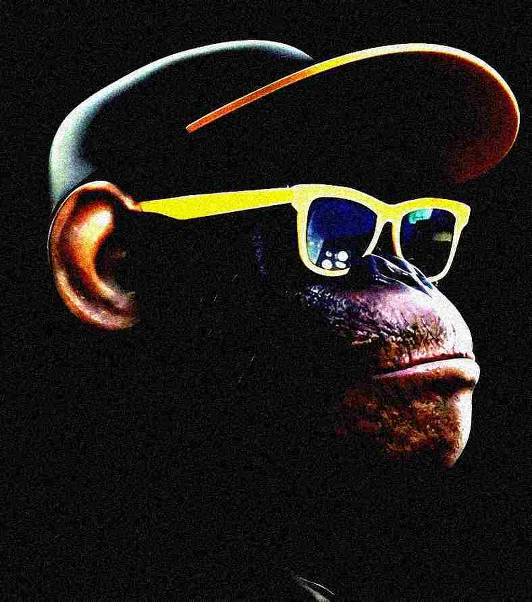 Guster Chronicles (The Chimp Album) | Funny Moments Augustus