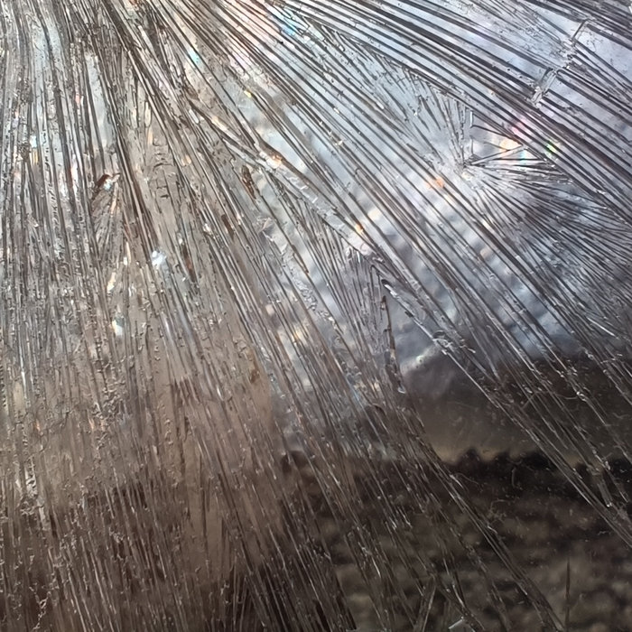 Chimera | Autogenesis, Cusoon DJ, Simone Bauer | Autogenesis