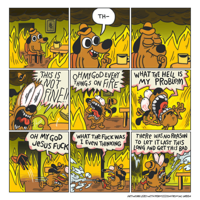 This Is Not Fine | Selekt Few