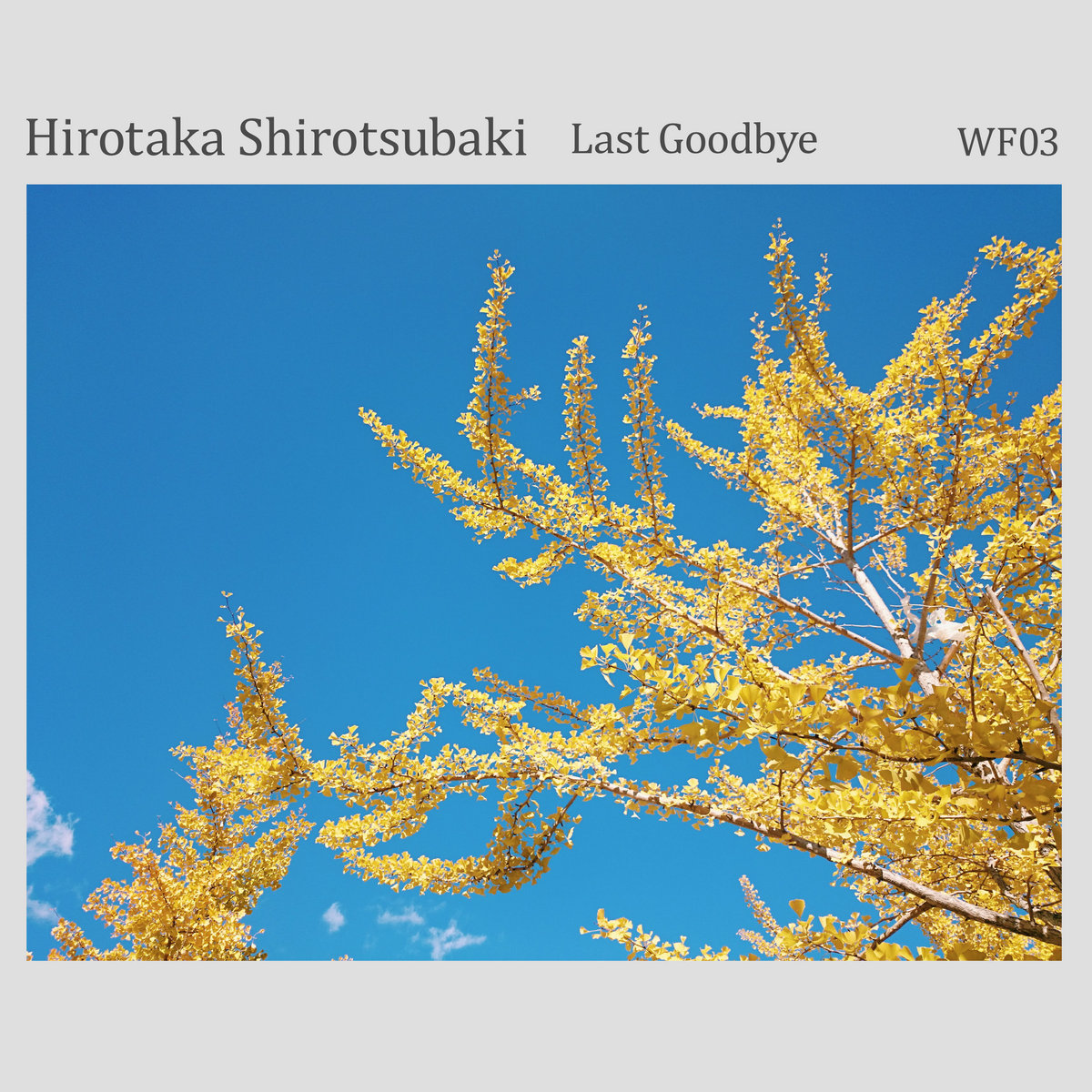 Last Goodbye | Hirotaka Shirotsubaki