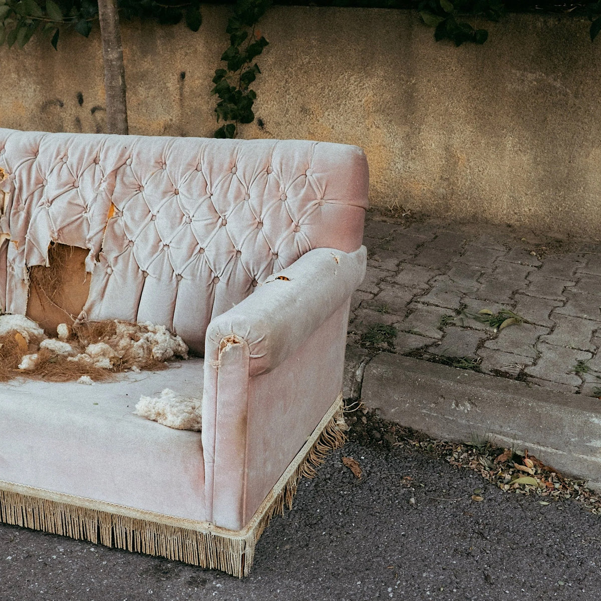 Camaleonda | Street Couch