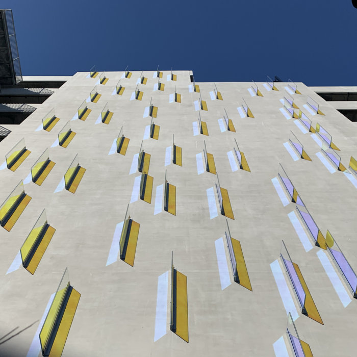 Lax Standards | Robb Padgett