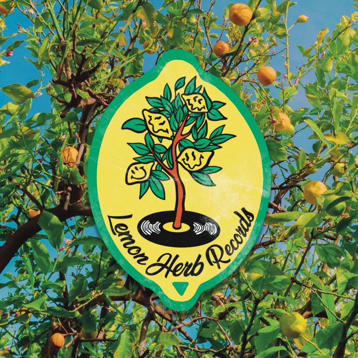 VA - Juice Sac [LHR012] | Lemon Herb Records