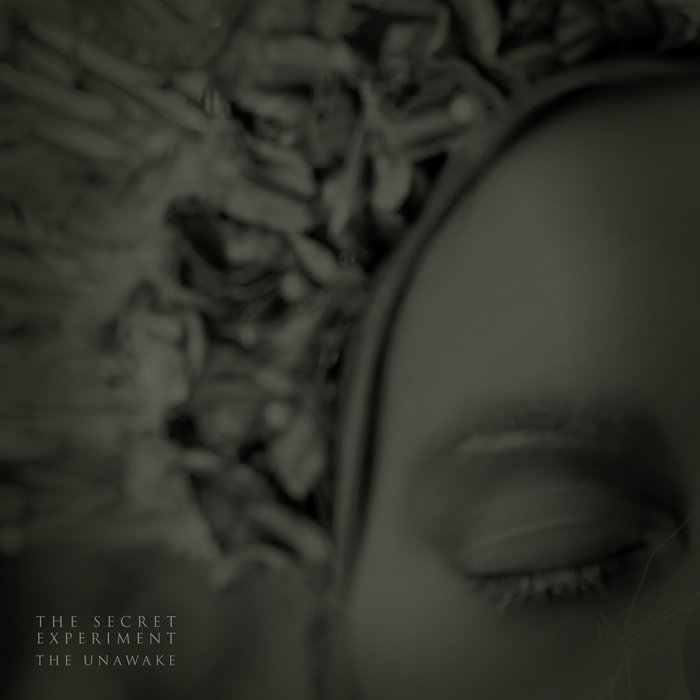 The Unawake | The Secret Experiment