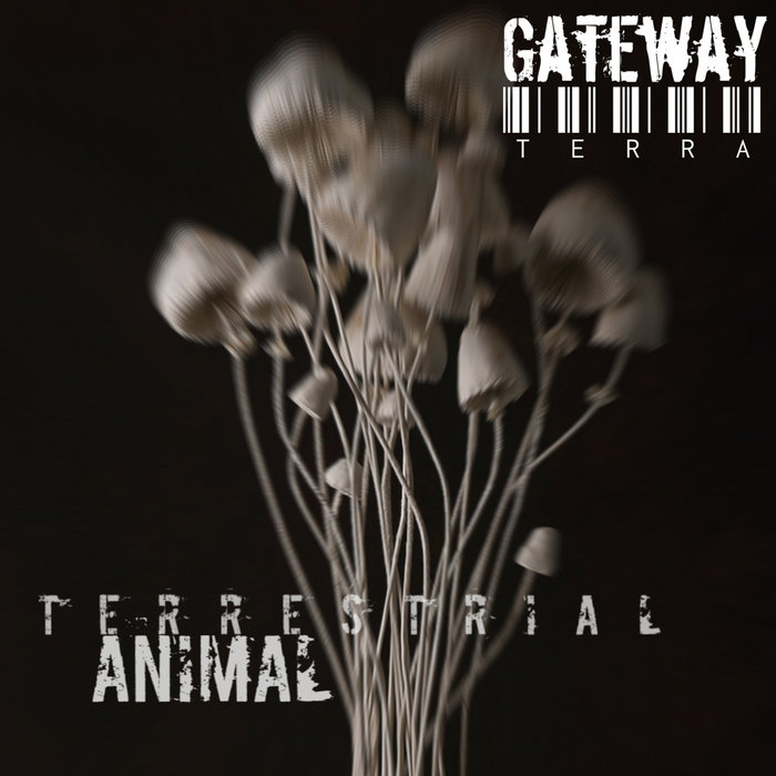 Gateway Terra | Terrestrial Animal