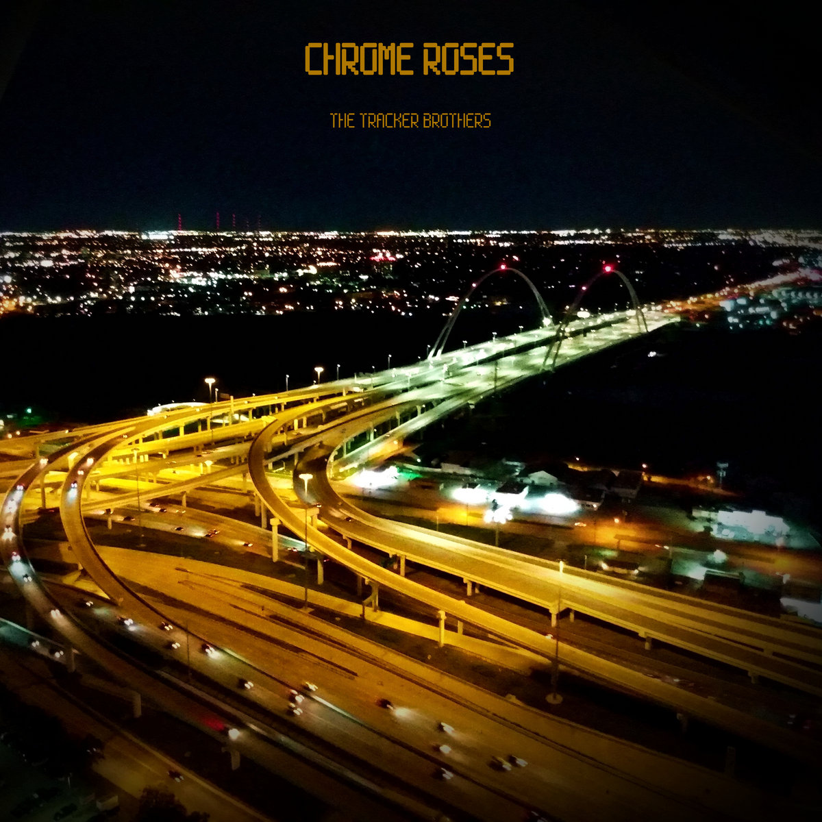 Chrome Roses | The Tracker Brothers