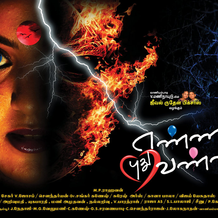 Daku Rani Tamil Full Movie | Cathcaise | aplitijam