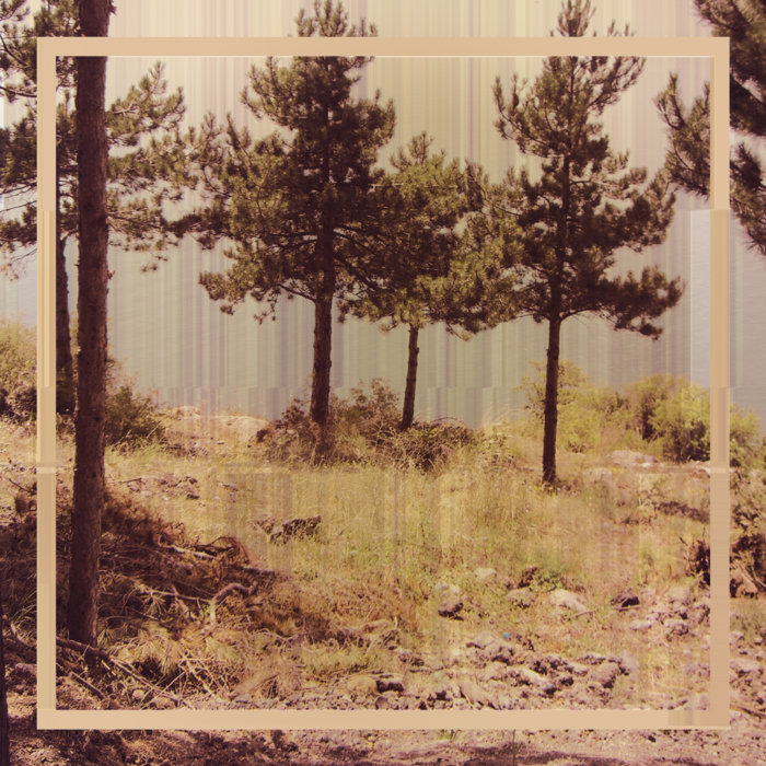 Cybernetic forest | Markham Synth Society