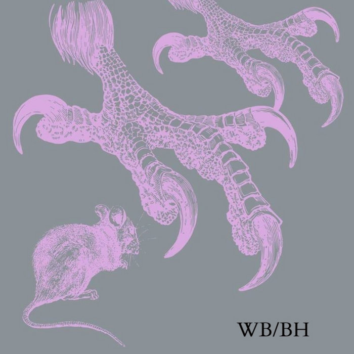 Brave Hours (LP) | Walking Bombs