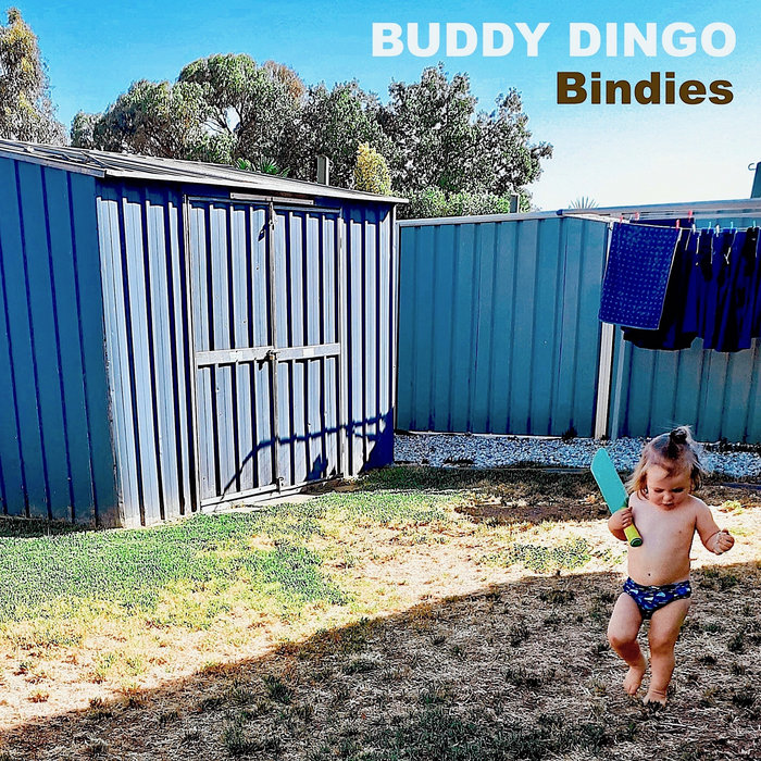 Bindies | Buddy Dingo