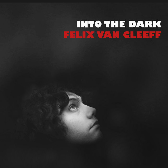 Into The Dark | Felix van Cleeff