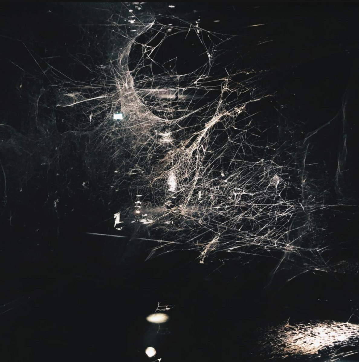 ️Roadburn 2025 ️ - Thou, Oranssi Pazuzu, Michael Gira, Kylesa, Steve ...