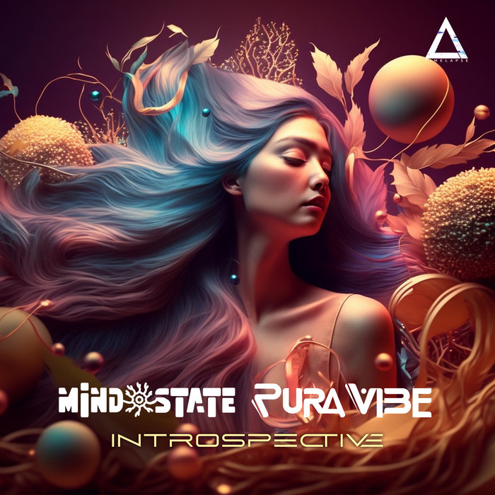 Introspective | Pura Vibe & MindState (BR) (Timelapse) | Timelapse Records