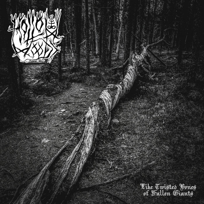 Like Twisted Bones of Fallen Giants | Hollow Woods
