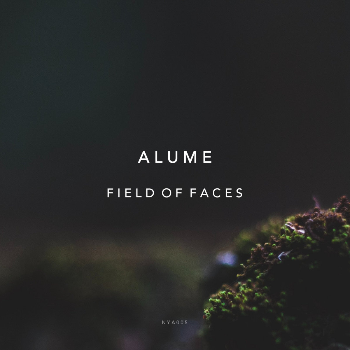 Field of Faces | Alume | NYAME